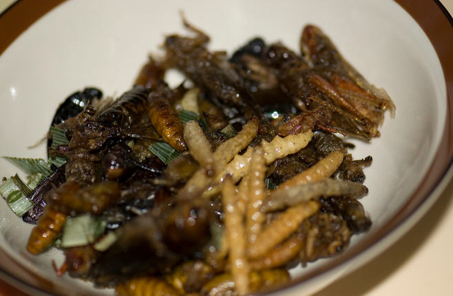 Rentokil launch pop-up ‘pestaurant’ serving pigeon burgers and edible insects | Famous Campaigns