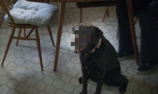 Marmite aim to end cruelty to ‘unloved’ jars with £2m marketing ...