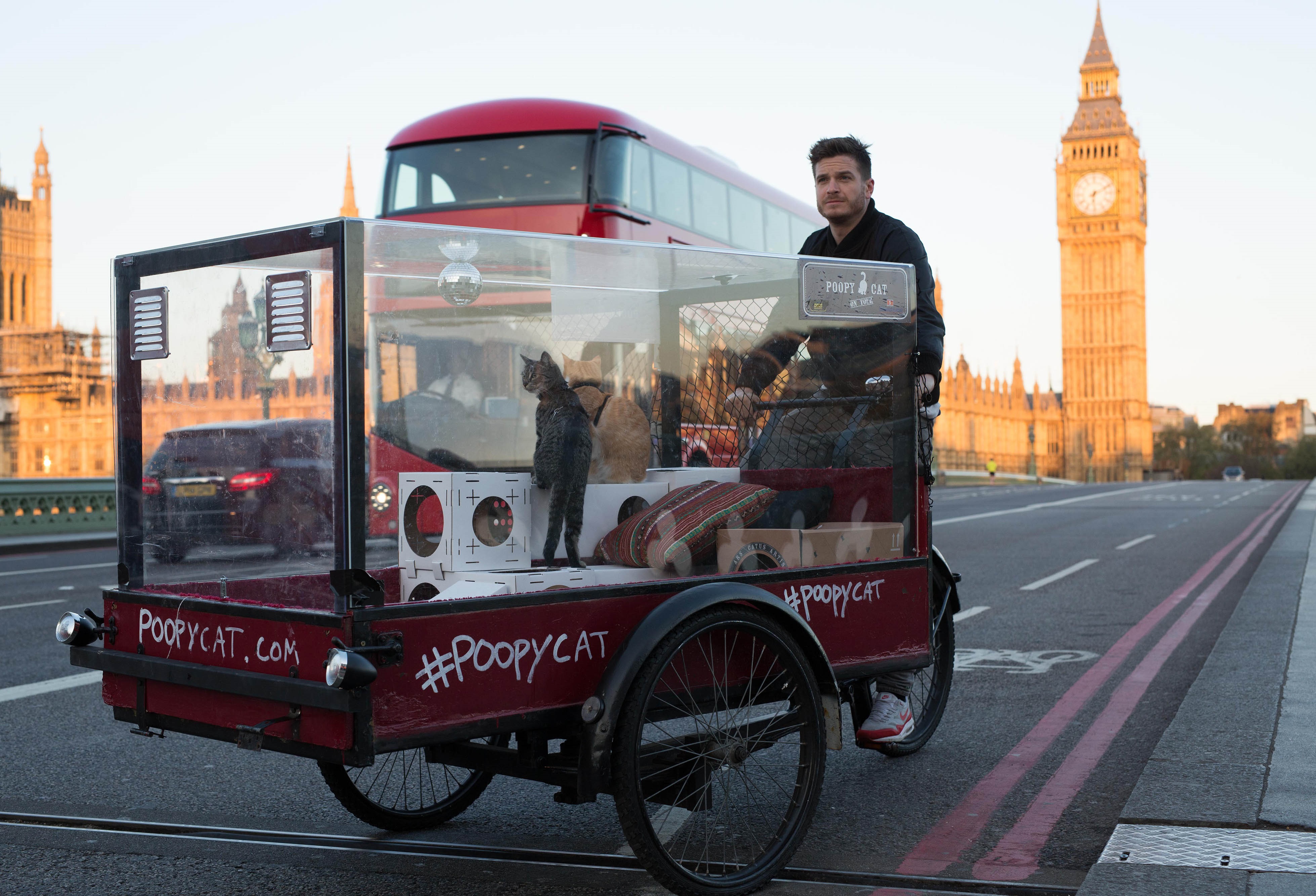 Poopy Cat founder cycles 300 miles to launch ‘poop-up’ shop with 2 cats ...