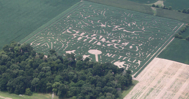 ‘Stranger Things’ corn maze is revealed at Exploration Acres | Famous ...