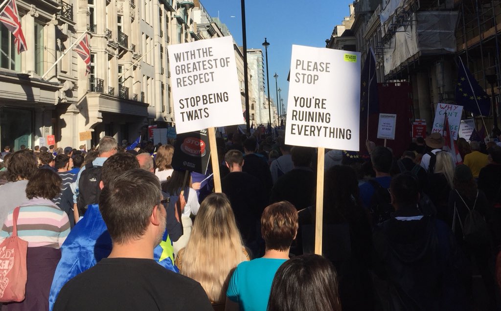 15 of the best banners and signs from the #PeoplesVoteMarch | Famous ...