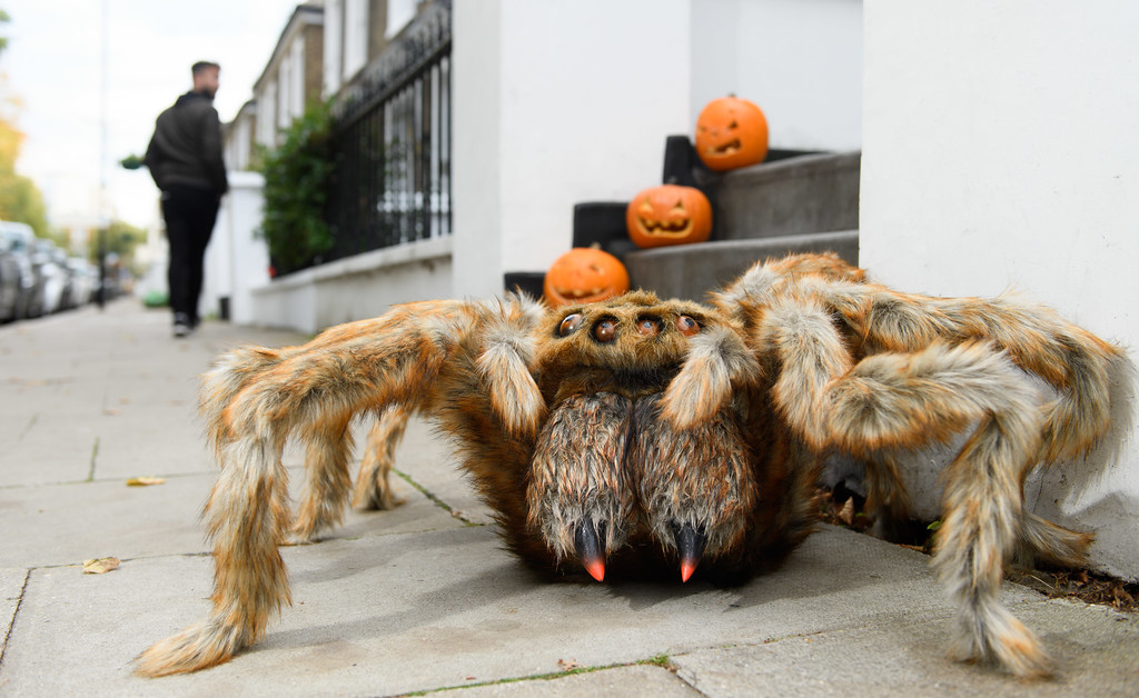 Fanta’s monster spider delivers the Halloween heebie-jeebies | Famous ...