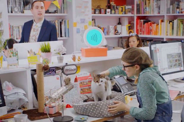 Business account seeks purrfect miaow for world’s first miaowing debit ...