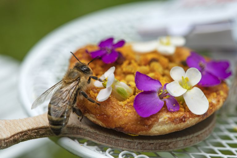 Introducing the The Beezza: the first pizza for bees from Papa John’s ...