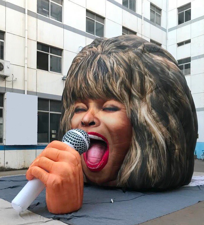 A giant sculpture of Tina Turner’s head is set to be unveiled in ...