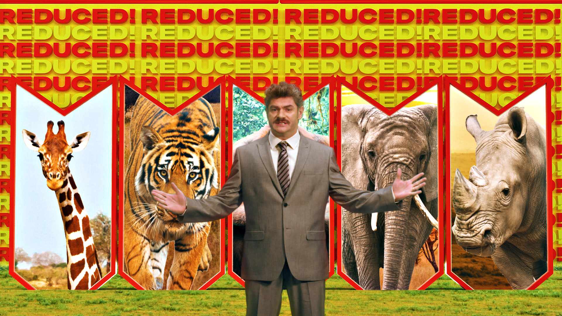 Born Free Foundation launches ‘Nature’s Closing Down’ sale | Famous ...