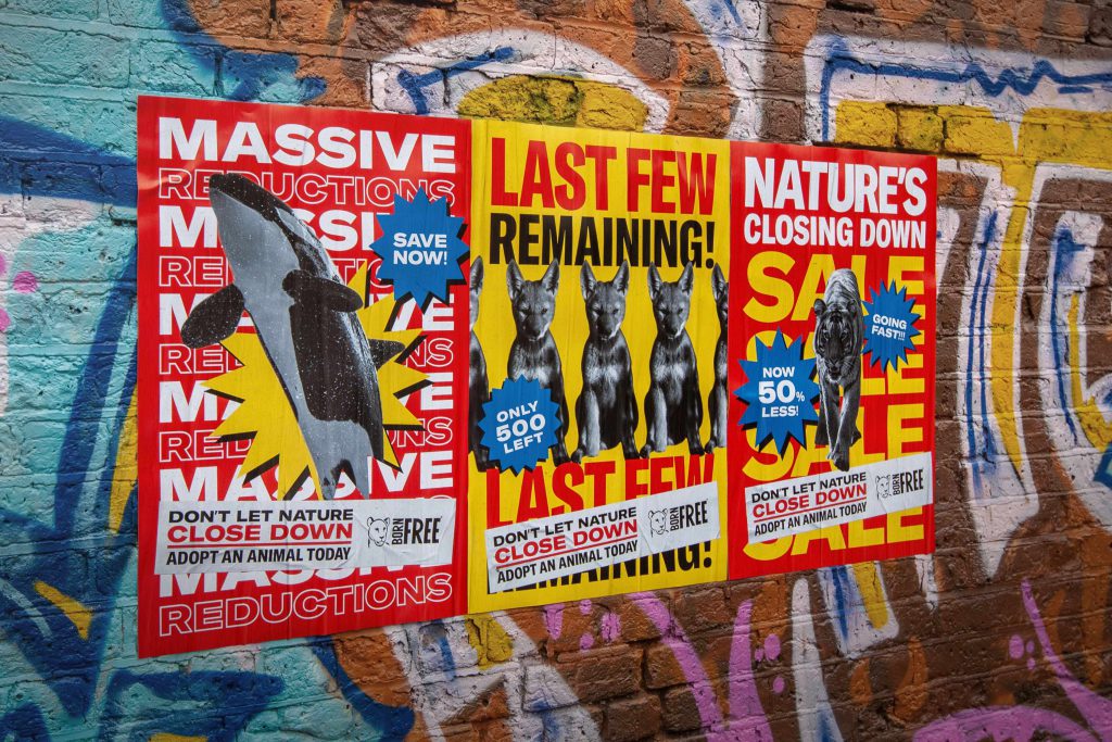 Born Free Foundation launches ‘Nature’s Closing Down’ sale | Famous ...