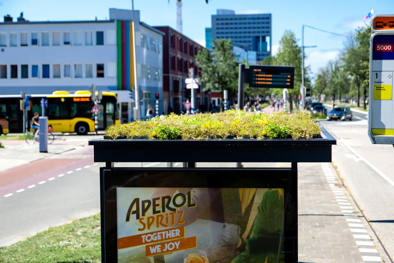 Leicester City s New Ecological Bus Stops Are The Bees Knees Famous leicester-city-s-new-ecological-bus-stops-are-the-bees-knees-famous