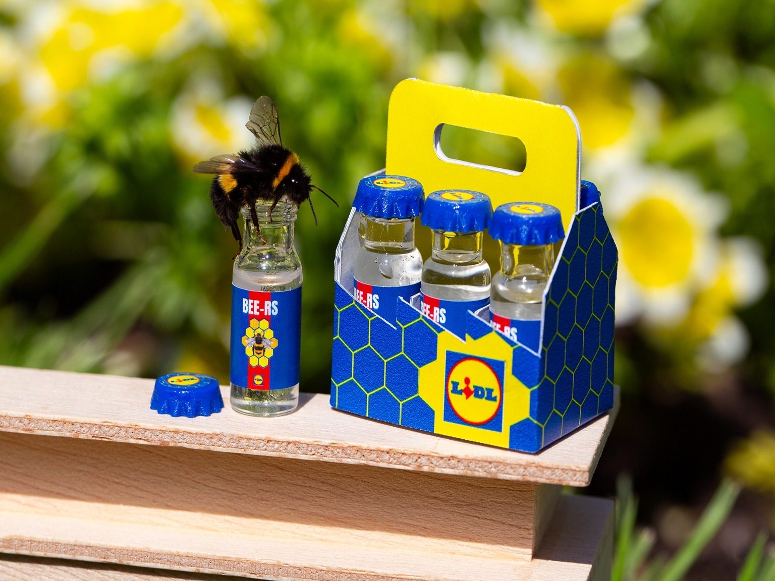 Anyone for a ‘Bee-r’? Lidl launches beers made to give bees a buzz ...