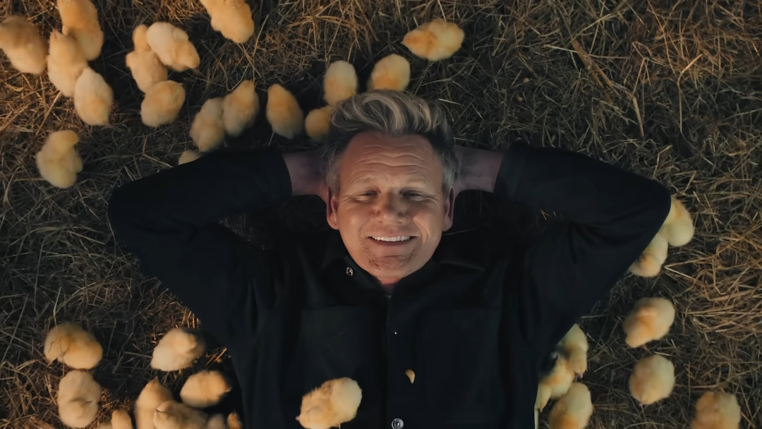 Gordon Ramsay’s issues public apology | Famous Campaigns