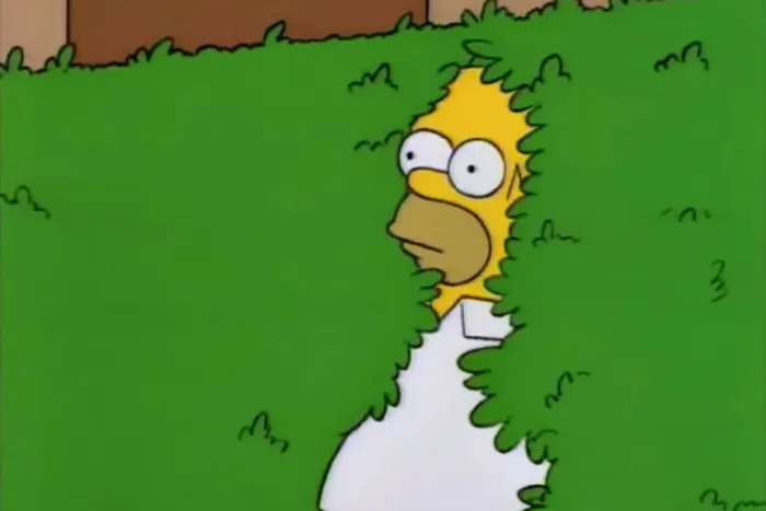 Homer Simpson Shrub Memes