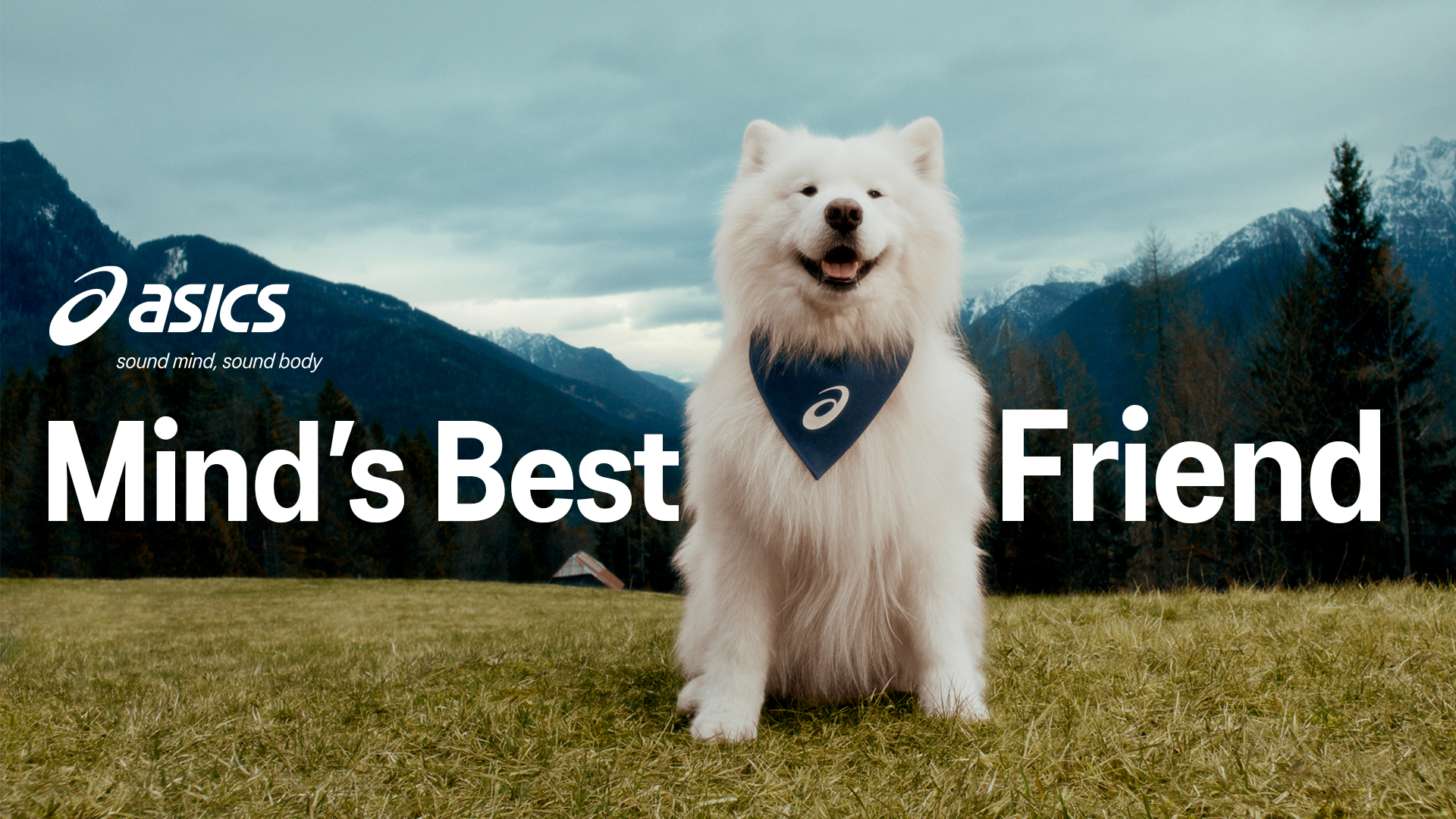 ASICS signs first-ever canine ambassador | Famous Campaigns