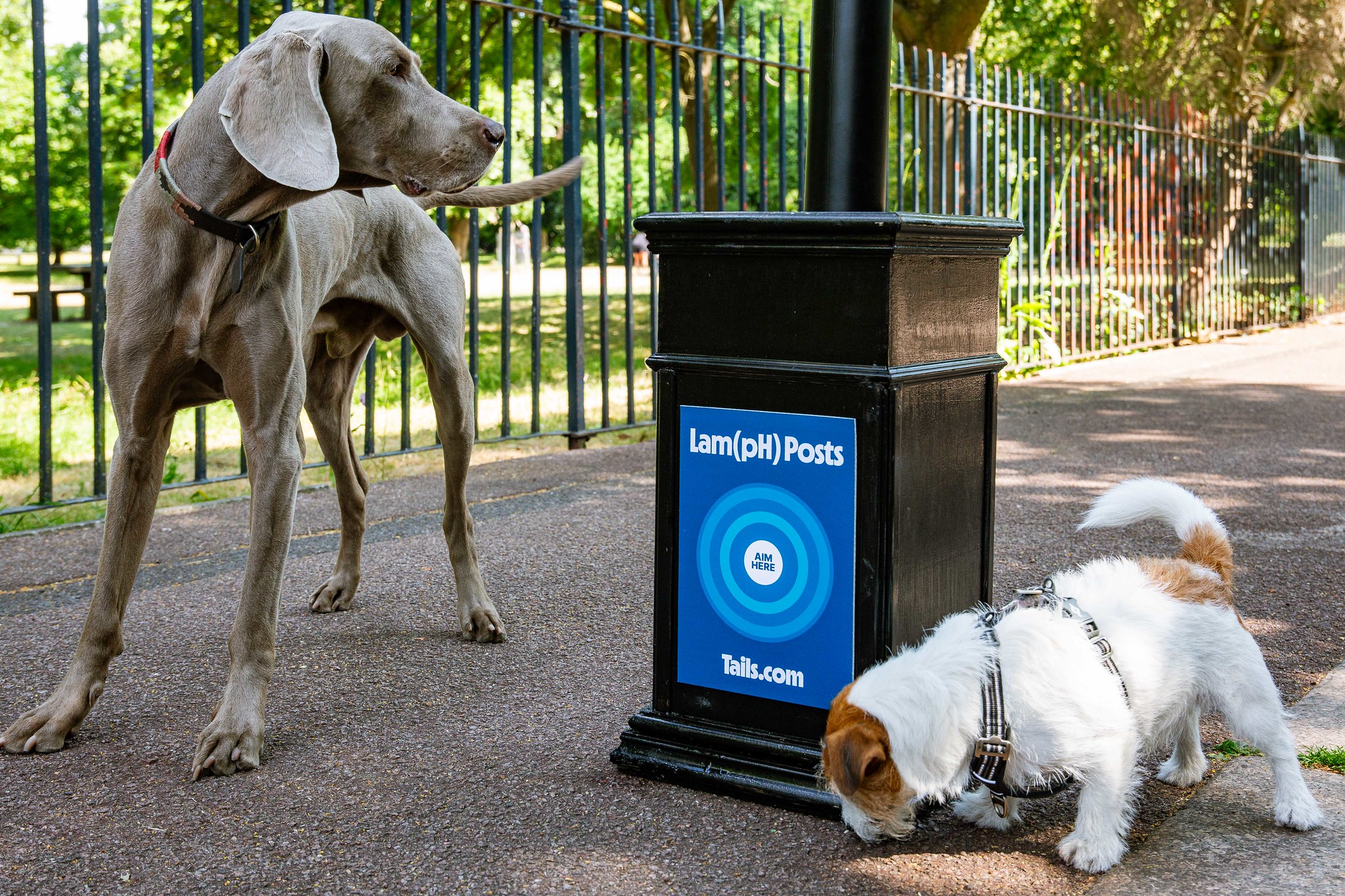 These park lamp posts double as dog health monitors | Famous Campaigns