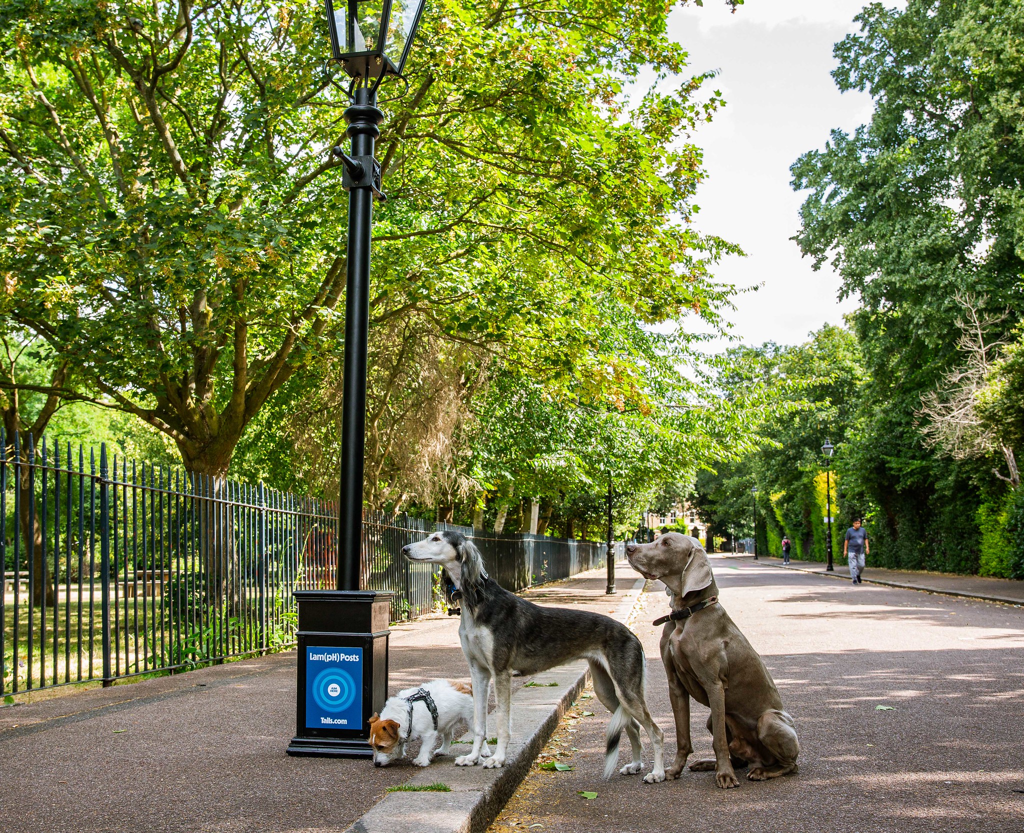 These park lamp posts double as dog health monitors | Famous Campaigns